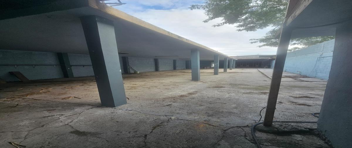 Terreno comercial disponible en renta en Centro de Apodaca, Colonia ...