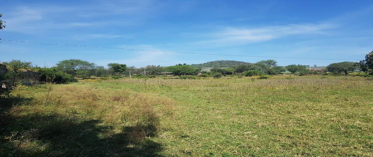 Terreno Disponible En Venta En Playas De Cajititlan Colonia Cajititlán