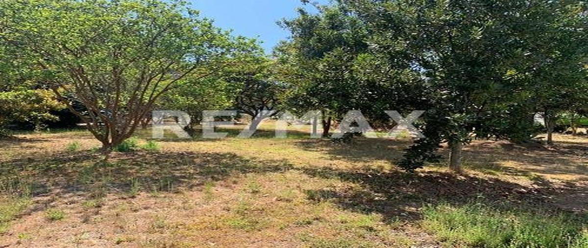 Terreno disponible en venta en Rosalio López, Colonia Santa Catarina, C ...